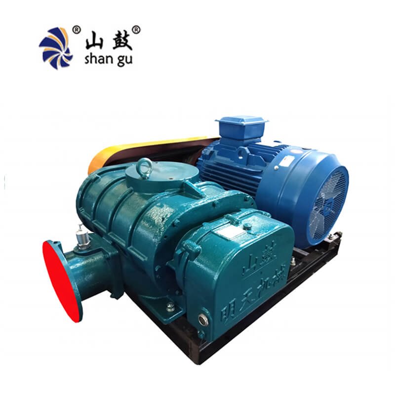 Five Factors To Consider When Choosing A Roots Blower